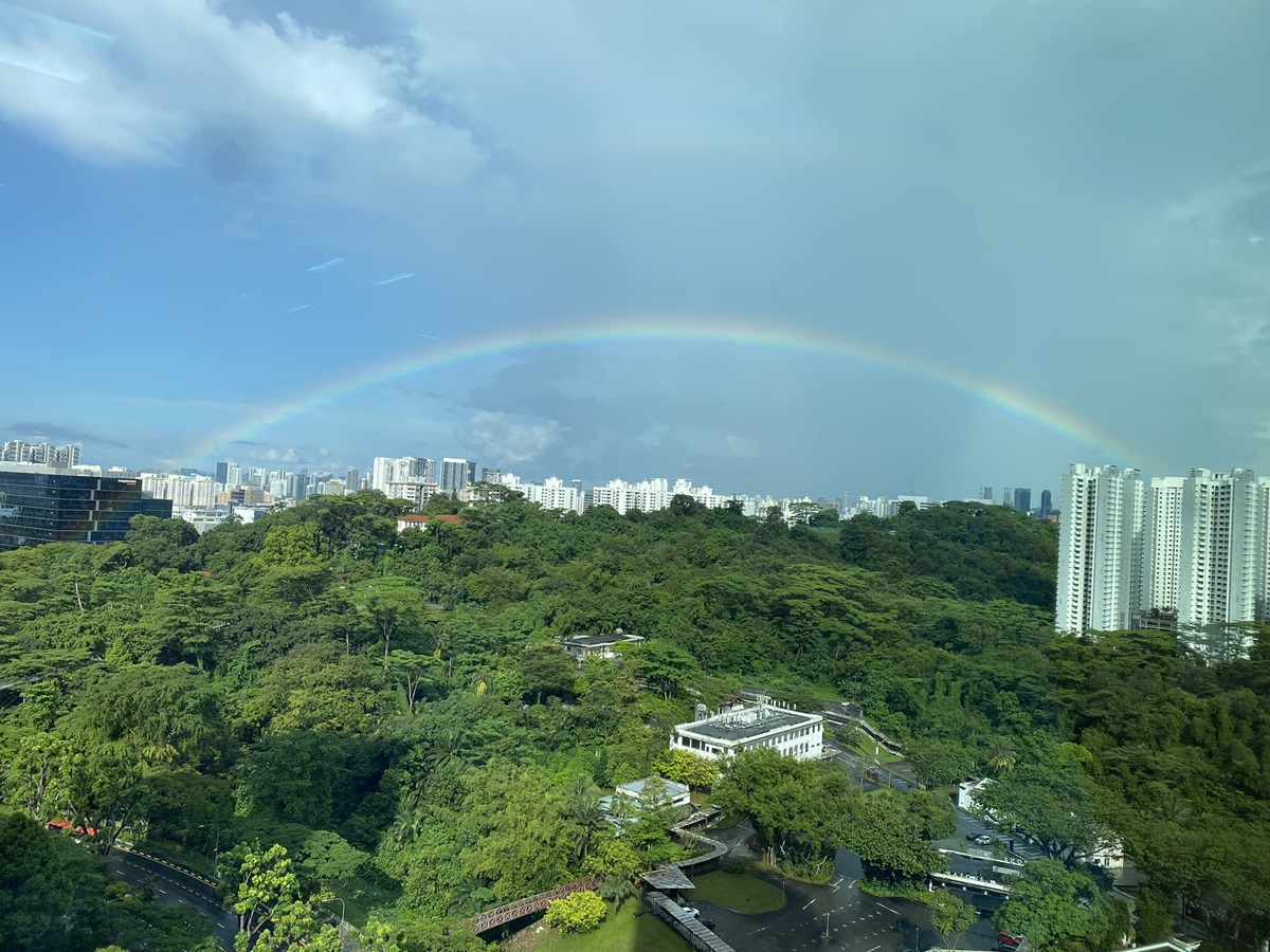 Exploring nature around Alexandra Point and Alexandra Technopark: Your ...